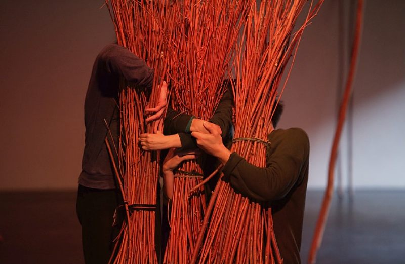 Harvest - Isabelle Schad / Good Work Productions